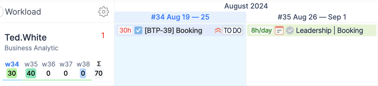 Basic Concepts: Workload, Capacity (Involvement) & Worklogs